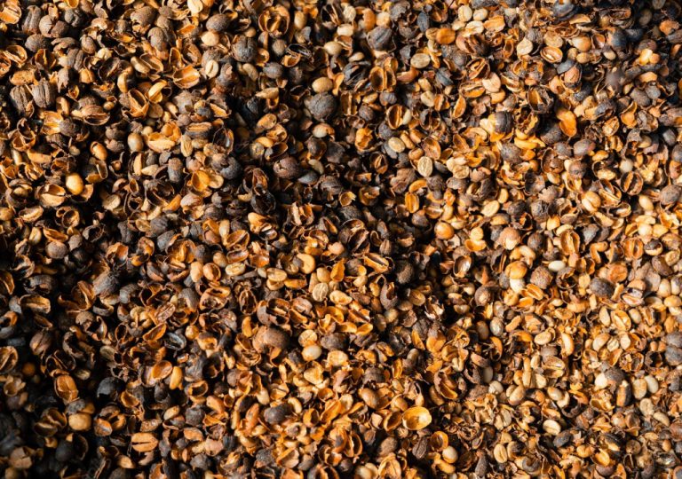 Dry Process Coffee: Pengolahan Kopi Metode Kering - KopiKita