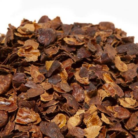 4 Examples of Secondary Defects in Coffee - KopiKita