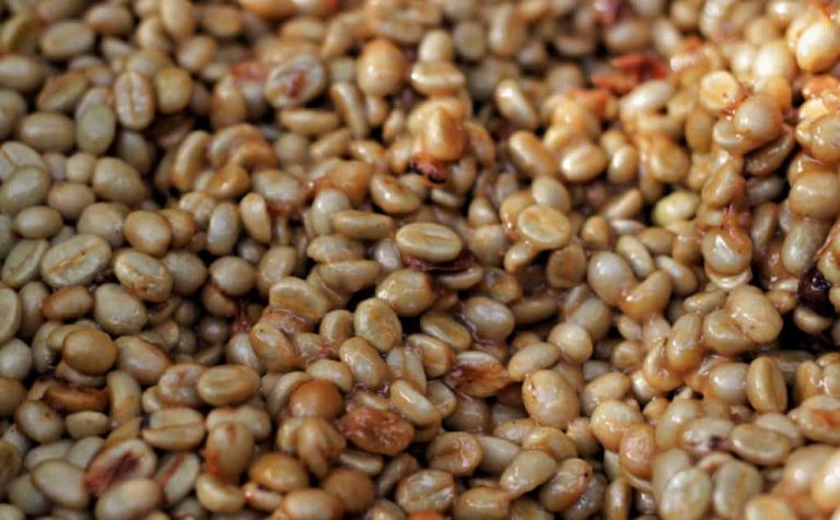 Flavor Defect in Coffee Cupping Assessment - KopiKita