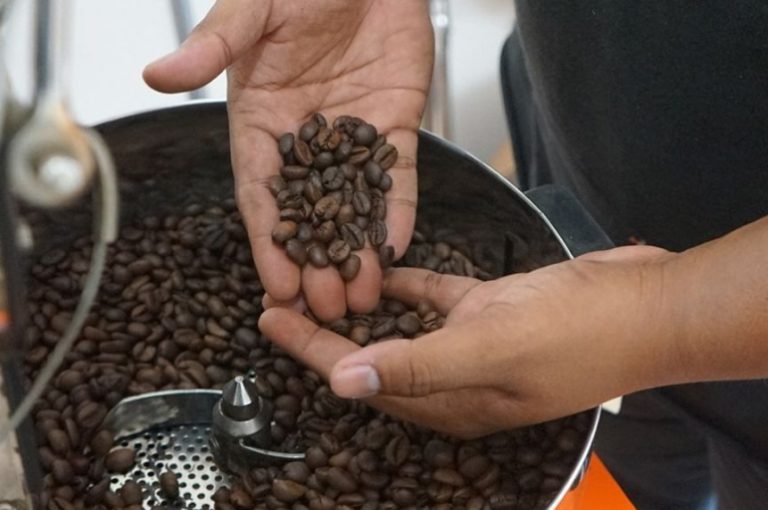 Produksi Kopi Indonesia Mengalami Peningkatan - KopiKita
